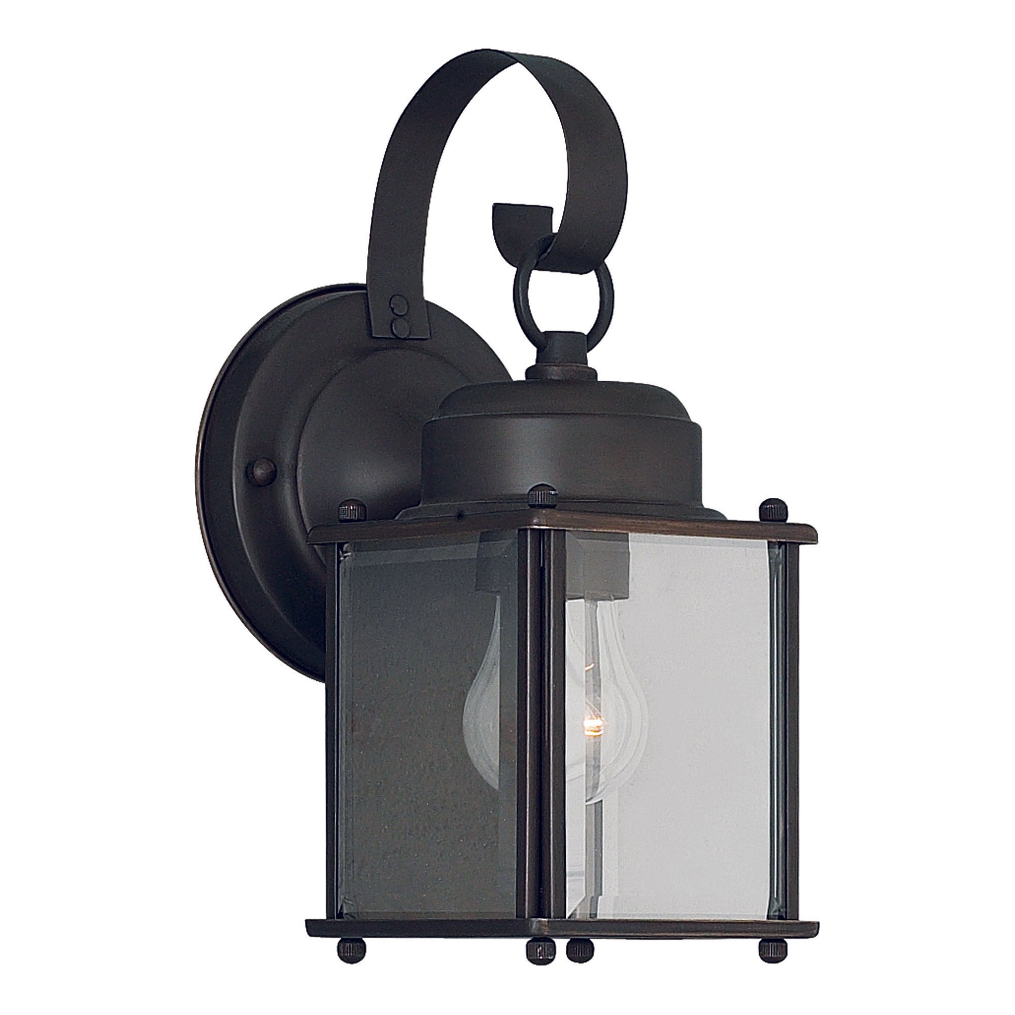 Forte Lighting Remo 5" Brass Royal Bronze Outdoor Wall Light With Clea ...